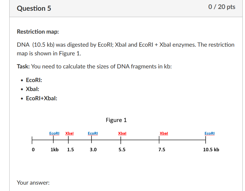 Solved Restriction map: DNA (10.5 kb) was digested by EcoRI; | Chegg.com