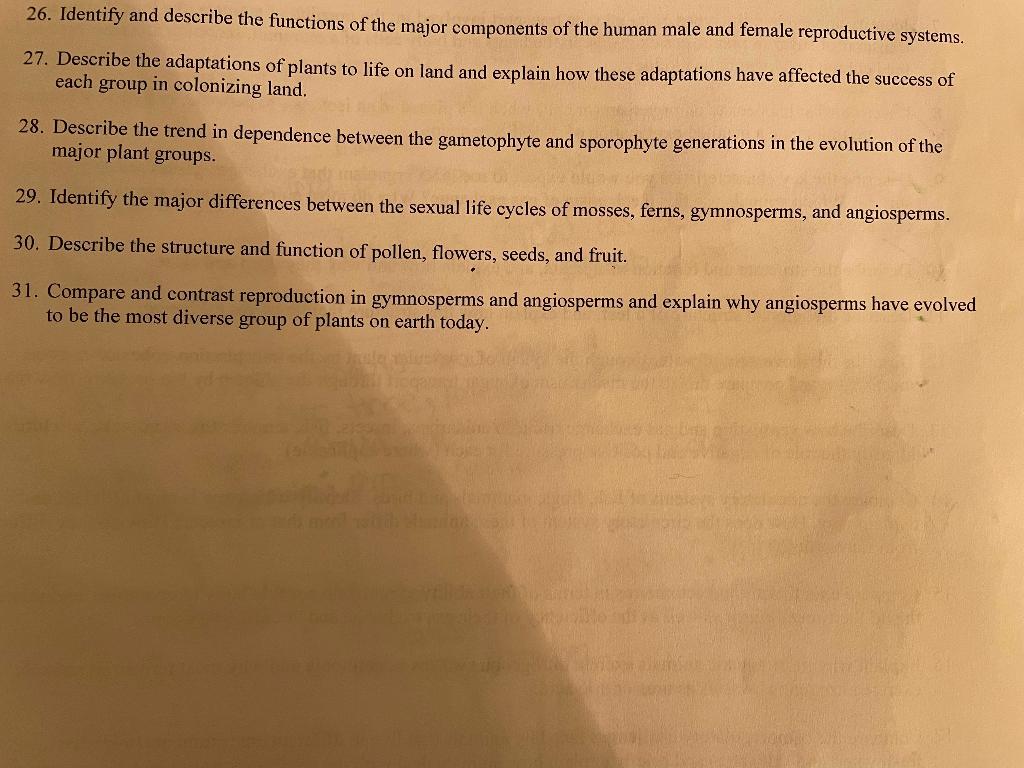 Solved 26. Identify and describe the functions of the major | Chegg.com