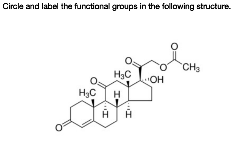 Solved Circle and label the functional groups in the | Chegg.com