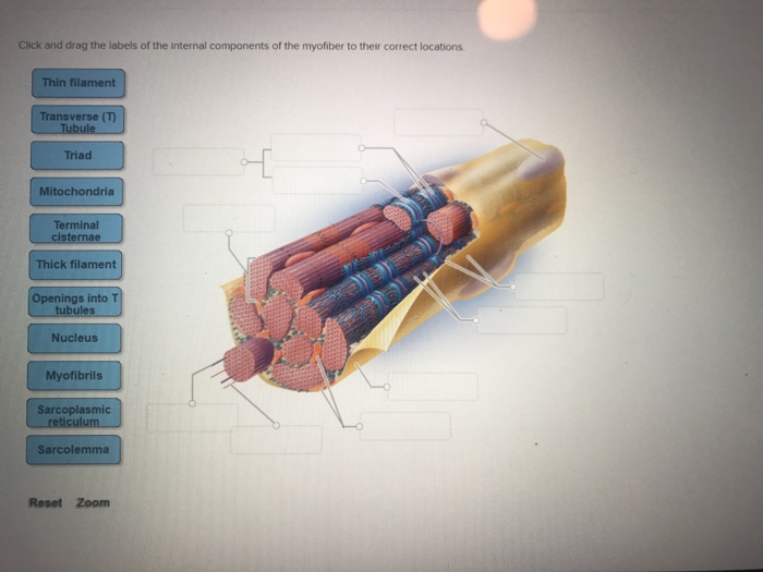Solved Click and drag the labels of the internal components | Chegg.com
