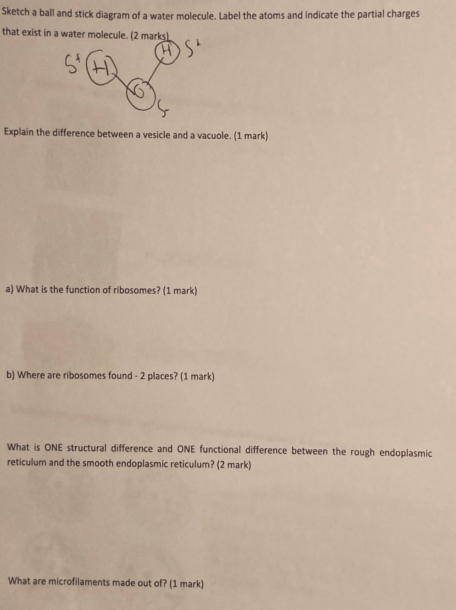Solved Sketch a ball and stick diagram of a water molecule. | Chegg.com