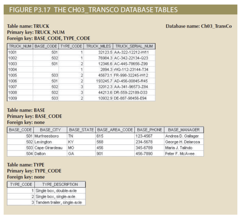 Solved Create a data dictionary for the TransCo database in | Chegg.com