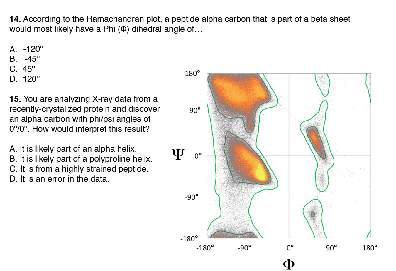 Solved 14. According to the Ramachandran plot, a peptide | Chegg.com