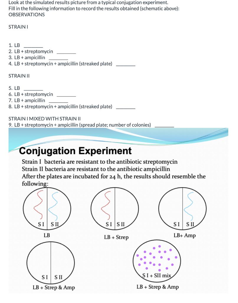 Solved Look at the simulated results picture from a typical | Chegg.com