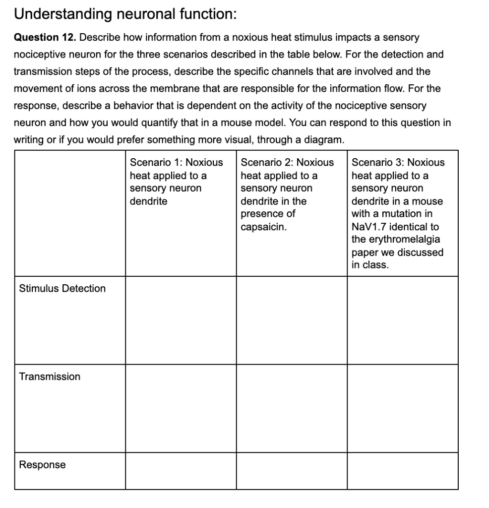 Solved Understanding neuronal function: Question 12. | Chegg.com