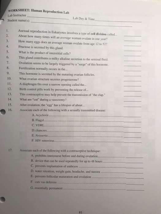 Solved WORKSHEET: Human Reproduction Lab | Chegg.com
