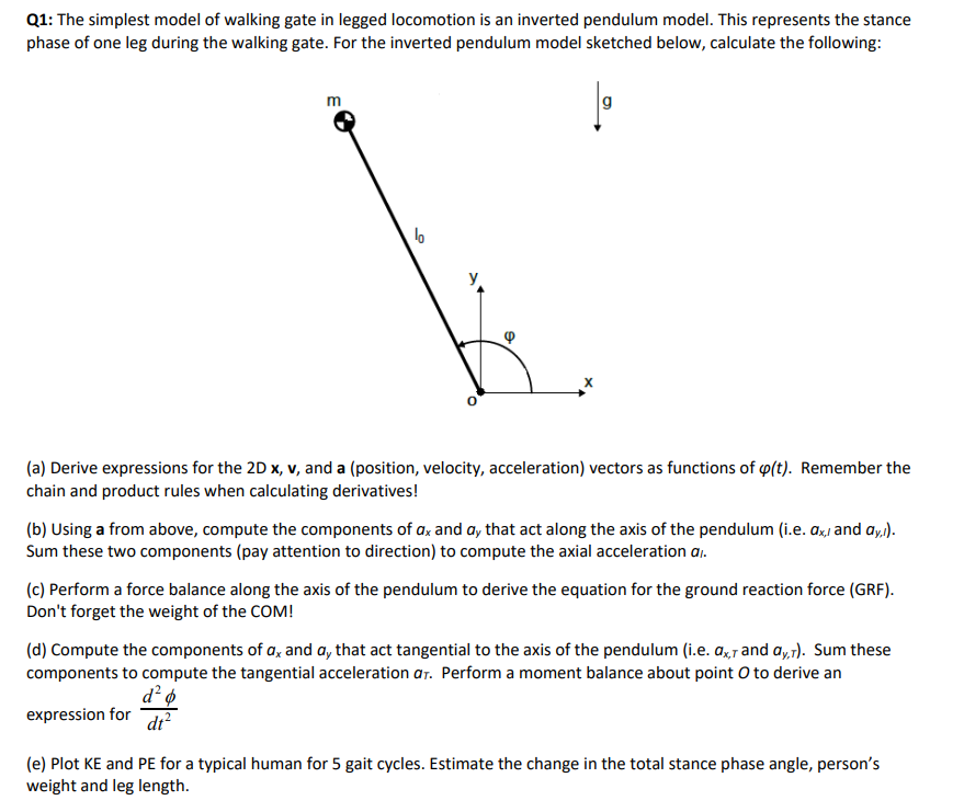 Solved Q1: The simplest model of walking gate in legged | Chegg.com