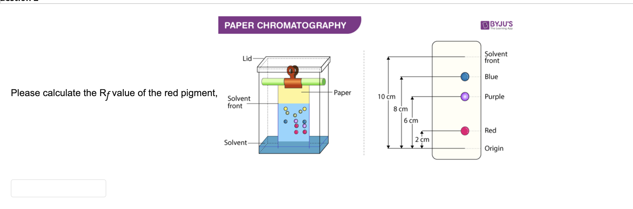 Solved PAPER CHROMATOGRAPHY BBYJU'S The Learning App Lid | Chegg.com
