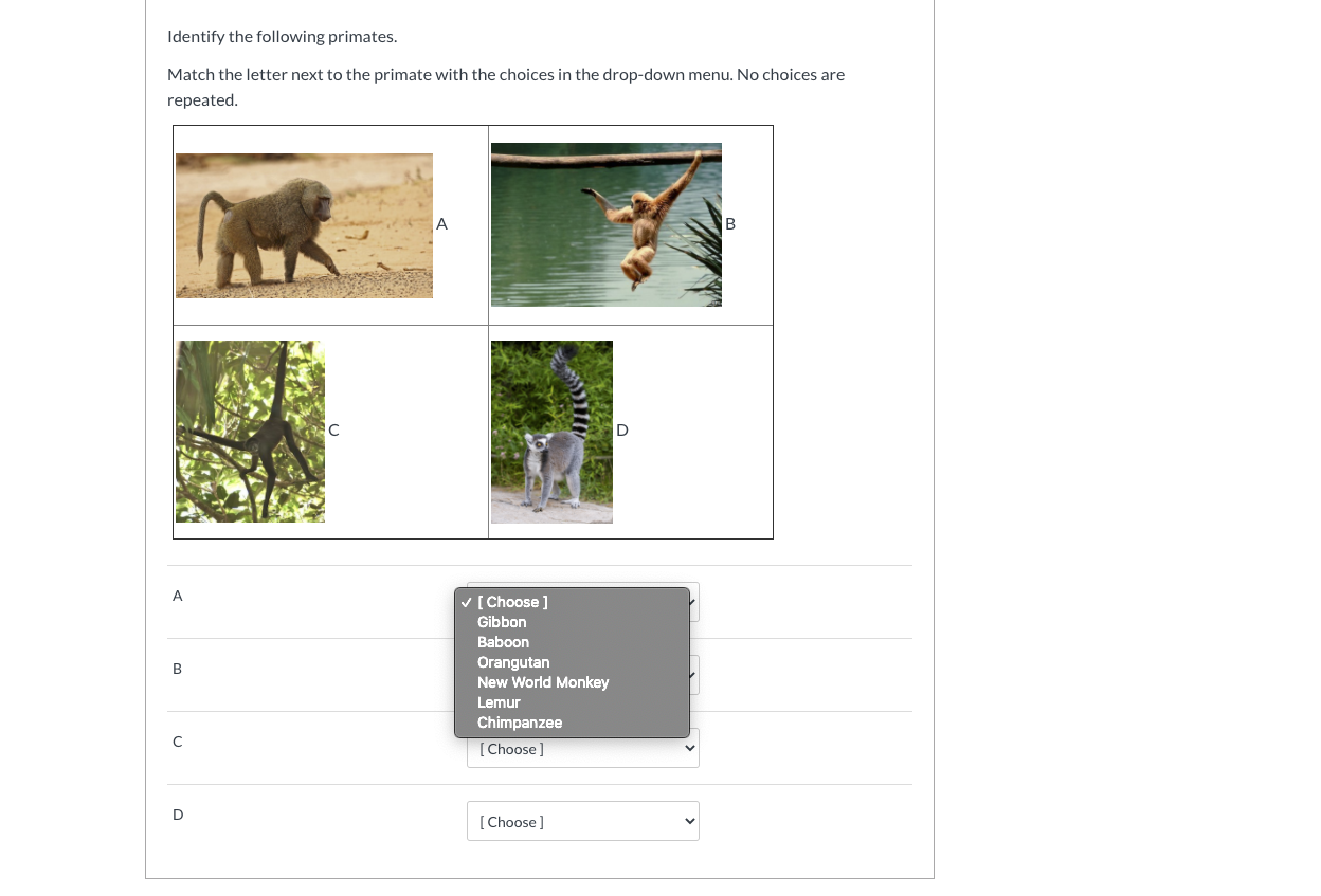 Solved Identify the following bones and tools. Match the | Chegg.com