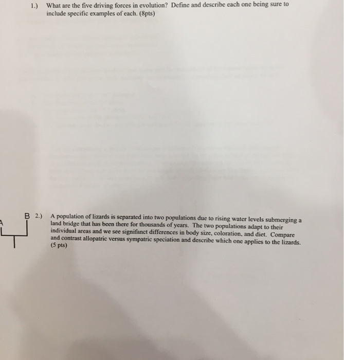 Solved 1.) What are the five driving forces in evolution? | Chegg.com