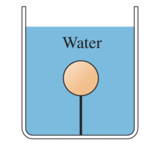 Solved A plastic ball fully submerged in water is tied to | Chegg.com