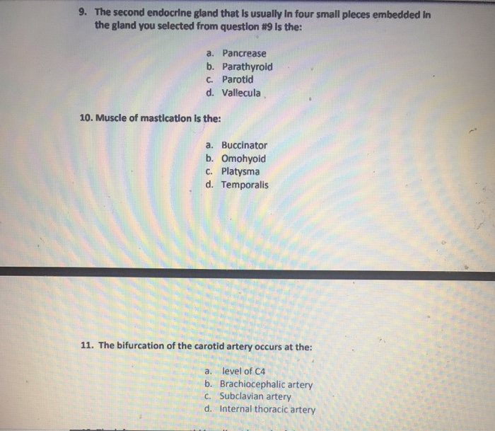 Solved The true and false vocal cords extend from the | Chegg.com