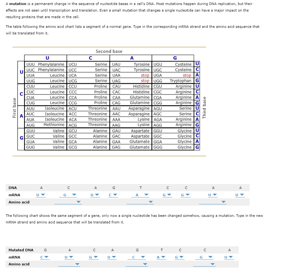 Solved Please answer the following questions Please fill in | Chegg.com
