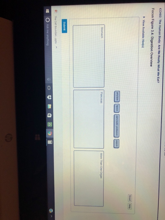 Solved CSecure | https//session Nutrition Lecture and Lab | Chegg.com