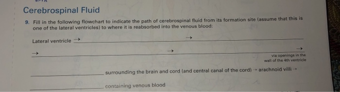 Solved Cerebrospinal Fluid 9. Fill in the following | Chegg.com Solved Cerebrospinal Fluid 9. Fill in the following | Chegg.com