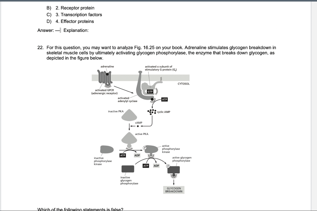 Solved 21. Given the generic signaling pathway in the figure | Chegg.com