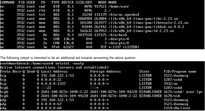 Solved This command shows the File Descriptor (FD) in this | Chegg.com