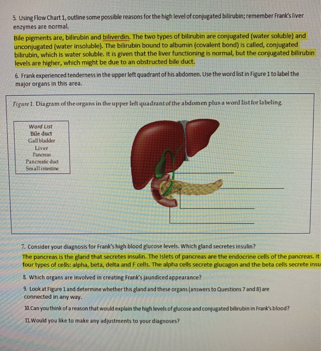 Omtex Classes Draw Neat Labelled Diagram Of The Pancreas