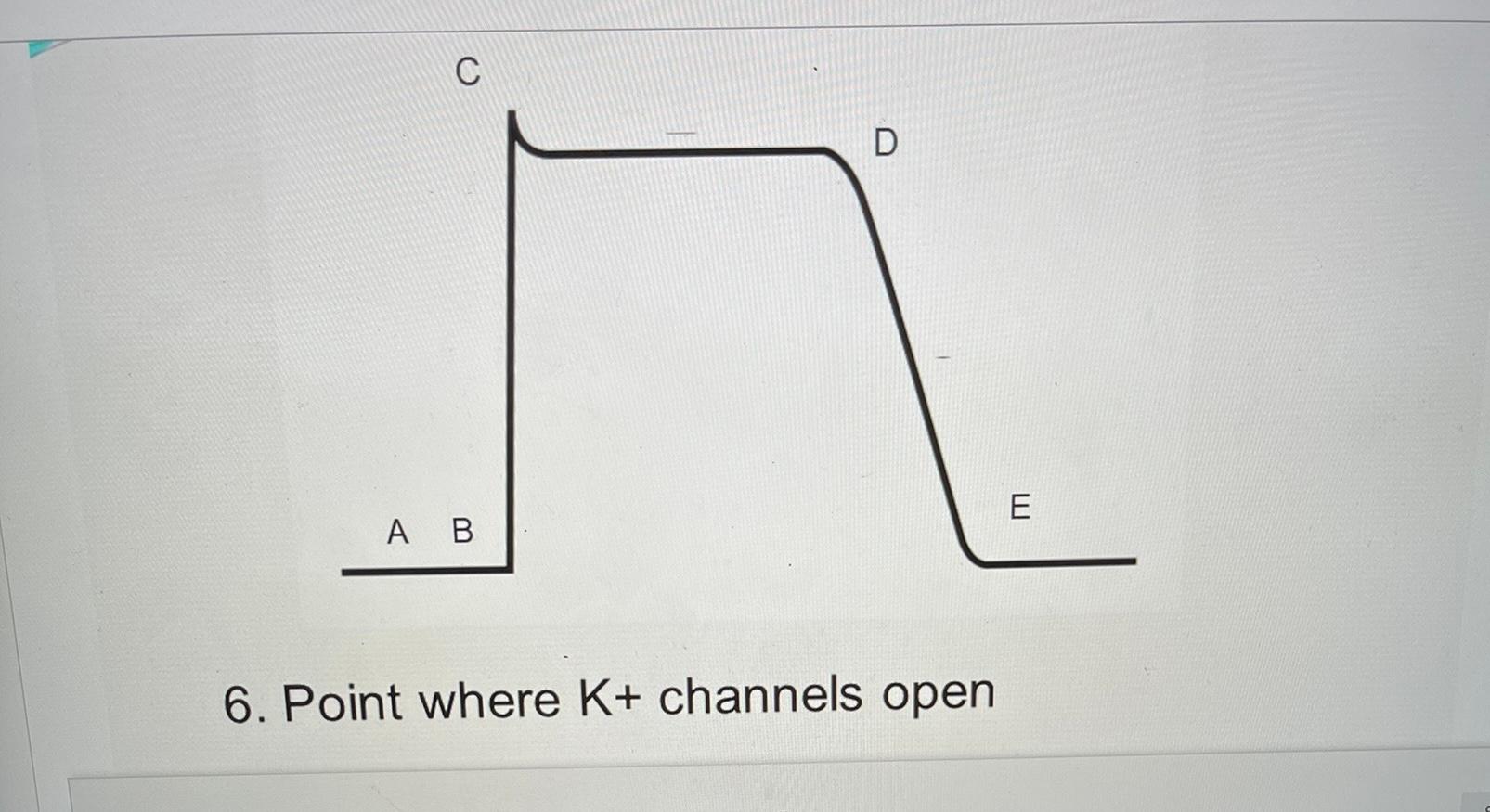 Solved C D Ε E A B 6. Point where K+ channels open D חו E | Chegg.com