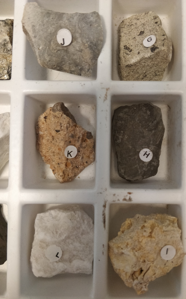 Solved (Geology)(Earth Science) Sedimentary Rocks | Chegg.com