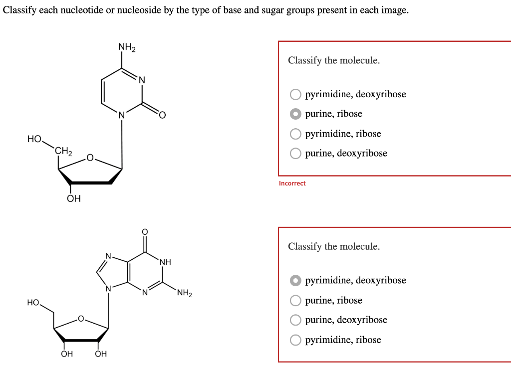 Solved Classify each nucleotide or nucleoside by the type of | Chegg.com