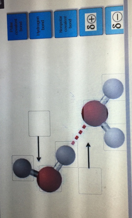 Solved Check my work This illustration shows two interacting | Chegg.com