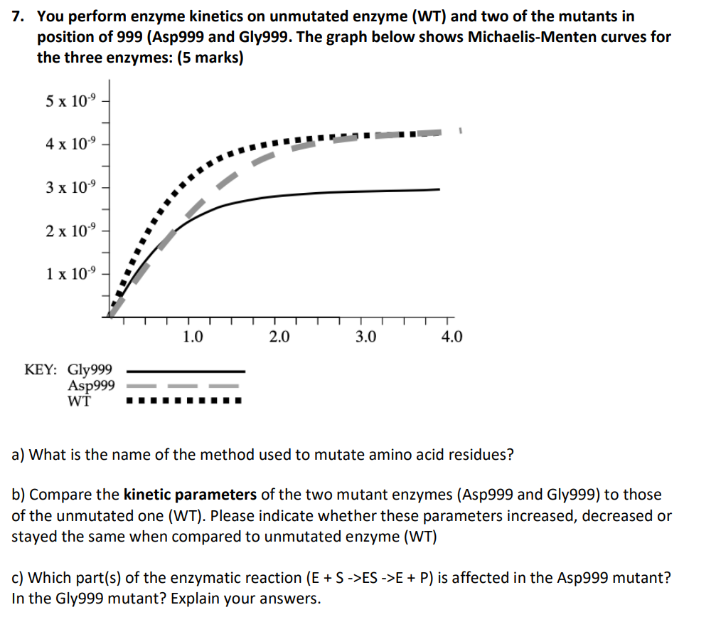 Solved 7. You perform enzyme kinetics on unmutated enzyme | Chegg.com