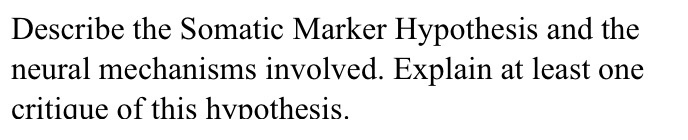 Solved Describe the Somatic Marker Hypothesis and the neural | Chegg.com