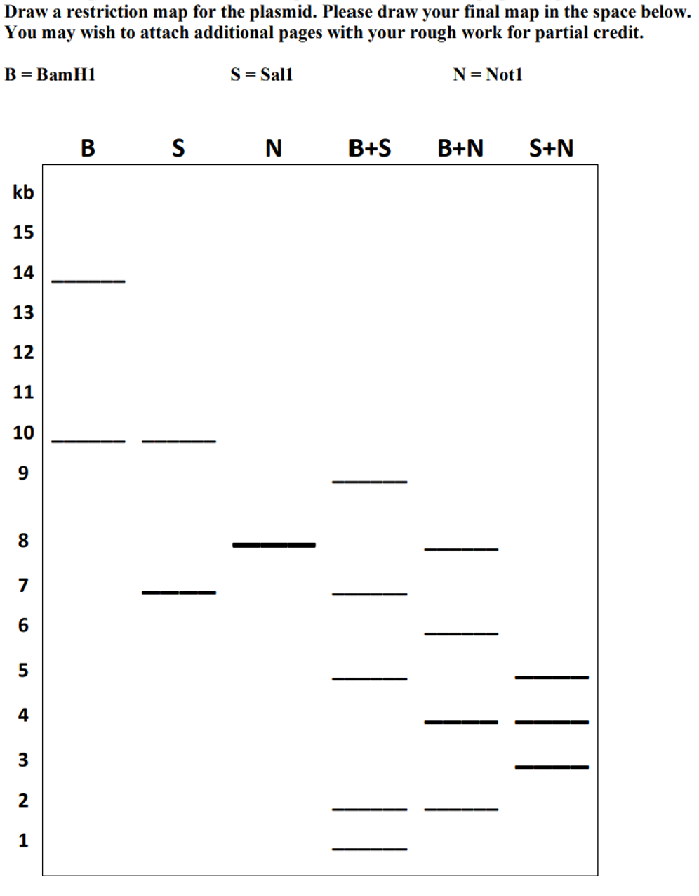 Solved Draw a restriction map for the plasmid. Please draw | Chegg.com