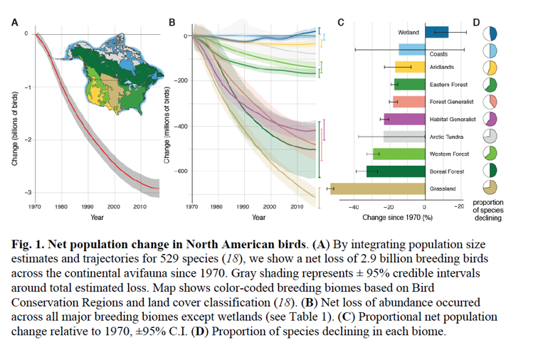 Solved Diversity and Extinction A. Based on graphs C and D | Chegg.com