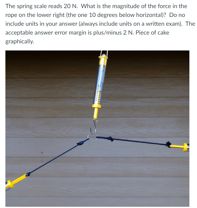 The spring scale reads 20 N. What is the magnitude of | Chegg.com