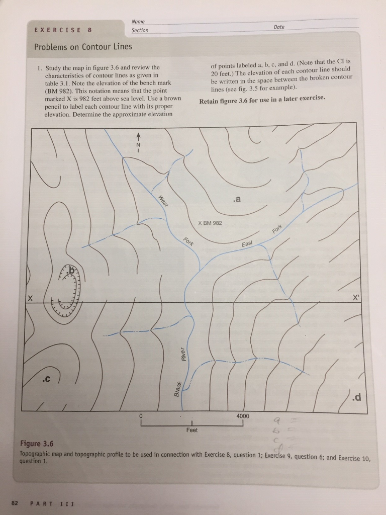 Solved EXERCISE 9 Name Section Date Problems in Scale | Chegg.com