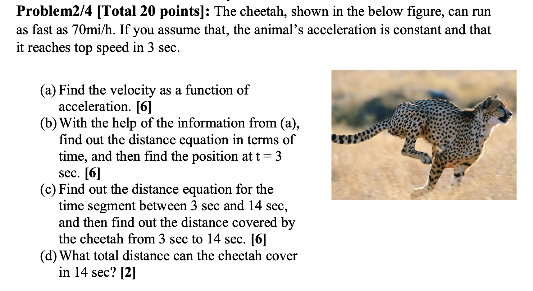 Solved Problem2/4 [Total 20 points]: The cheetah, shown in | Chegg.com