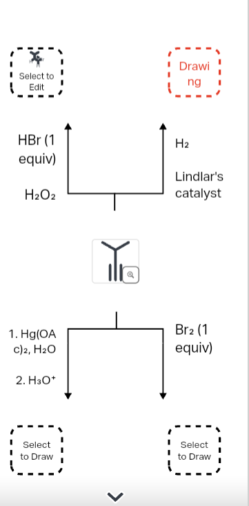 Solved A common alkyne starting material is shown below. | Chegg.com