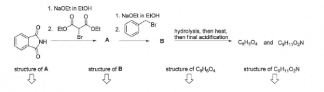 Solved 1. NaOEt in EtOH 1. NaOEt in EtOH "Br 2. 2. EXO OE: | Chegg.com