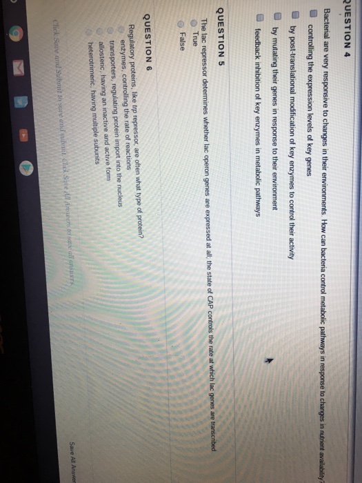Solved C Secure https/blackboard vcu edu/webapps/assessment | Chegg.com