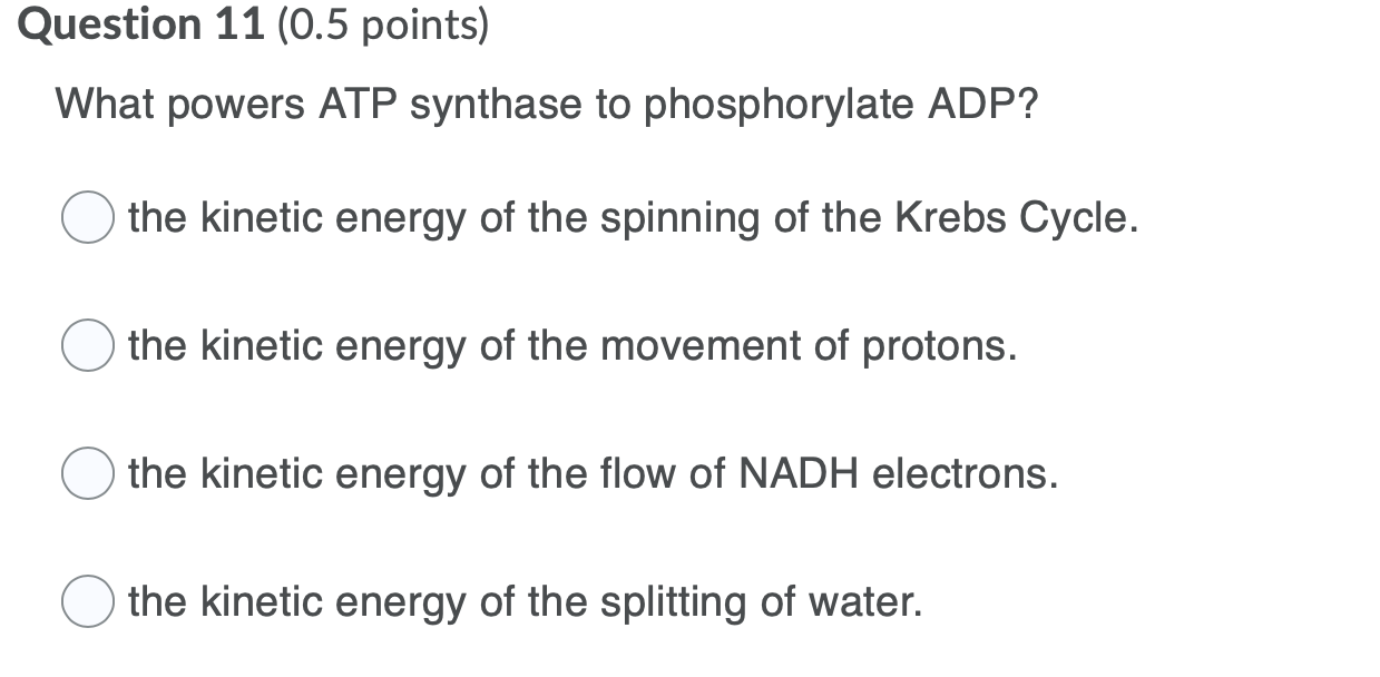 Solved Question 11 (0.5 points) What powers ATP synthase to | Chegg.com