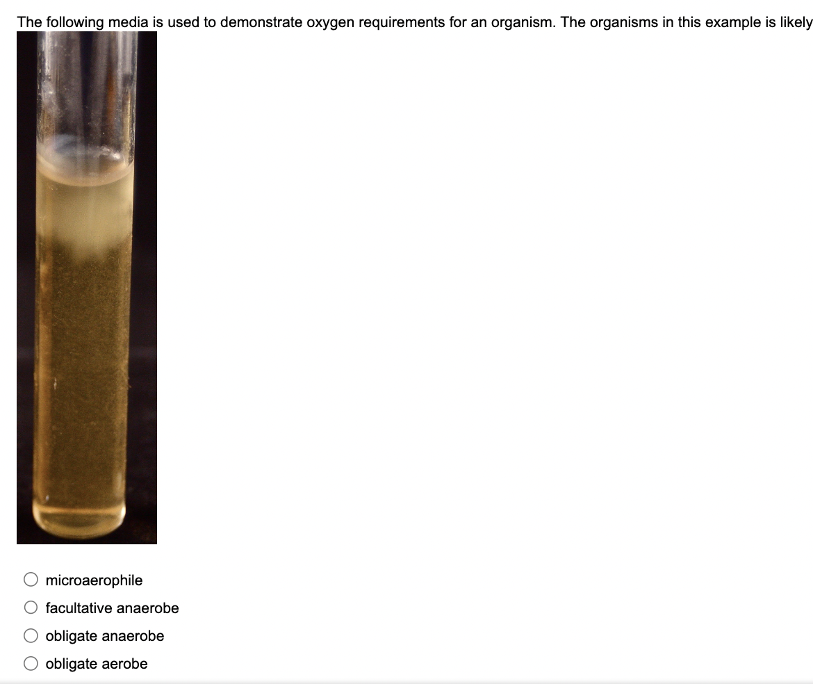 Solved The following media is used to demonstrate oxygen | Chegg.com