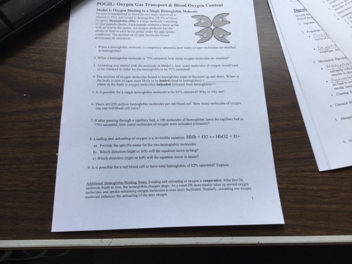 Solved POGIL: oxygen Gas Transport & Blood Oxygen Content | Chegg.com