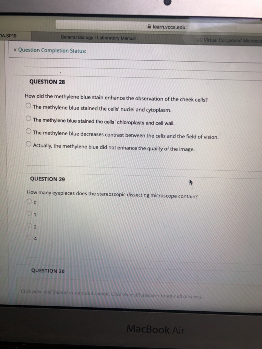 Solved 을 learn.vccs.edu SP19 General Biology I Laboratory | Chegg.com