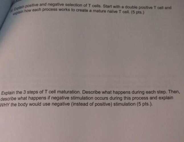 Solved tive and negative selection of T cells. Start with a | Chegg.com