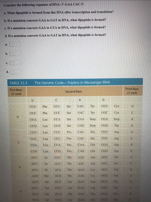 Solved Consider the following sequence of DNA: 3'-GAA CAC-5 | Chegg.com