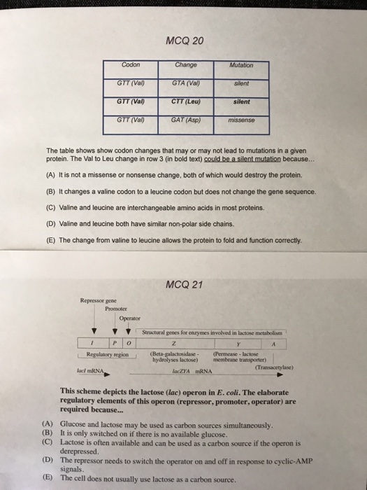 Solved MCQ 20 Codon Change Mutation GTA (Val)silent GTT | Chegg.com
