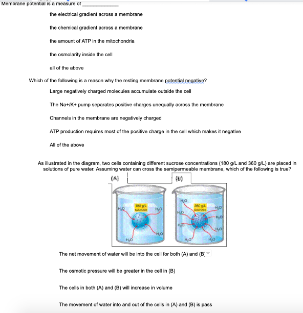 Solved Membrane potential is a measure of the electrical | Chegg.com