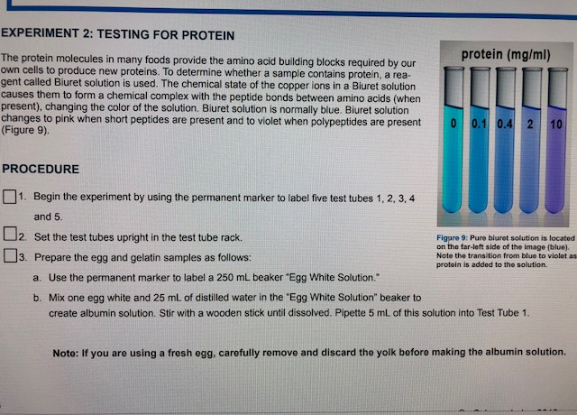 Solved EXPERIMENT 2: TESTING FOR PROTEIN protein (mg/ml) | Chegg.com