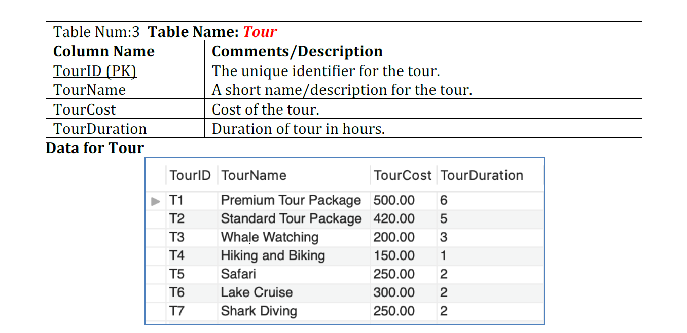 Solved Write a query to display the name of package tours | Chegg.com