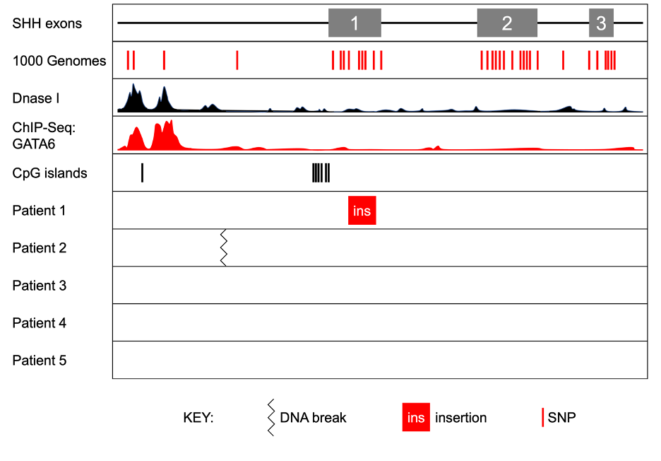Solved You are working with a series of individuals who have | Chegg.com