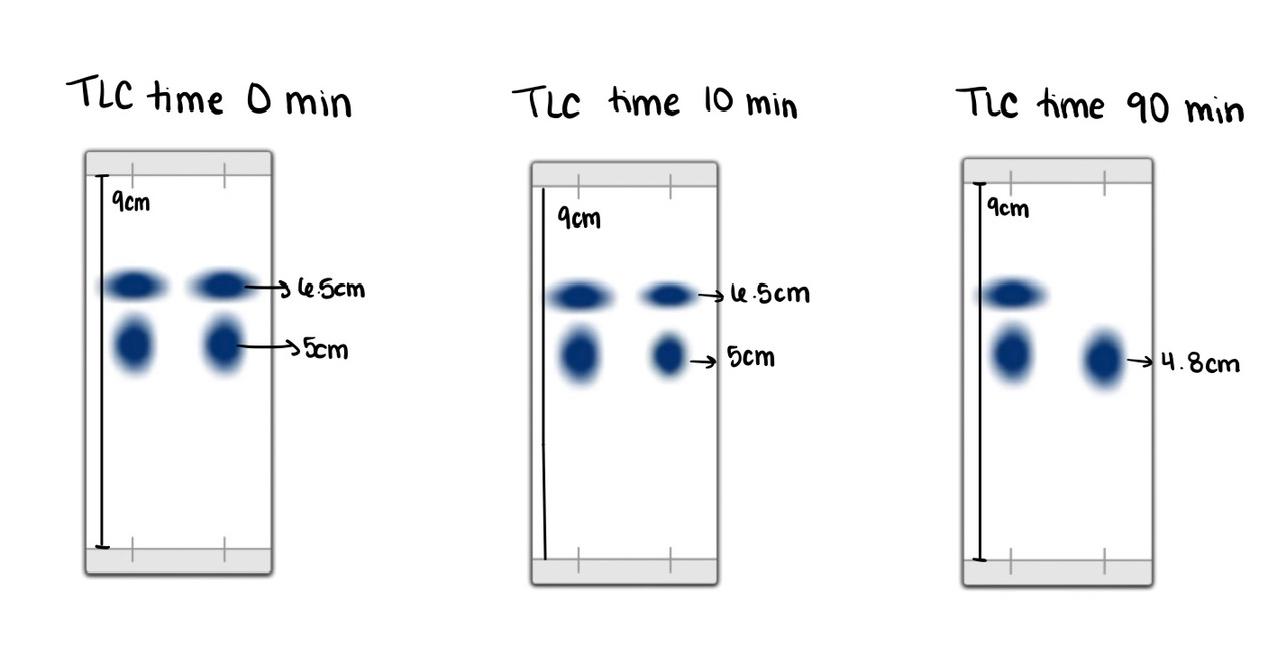 Solved Calculate the Rf (factor of retention) of the | Chegg.com