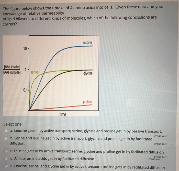 Solved The figure below shows the uptake of 4 amino acids | Chegg.com
