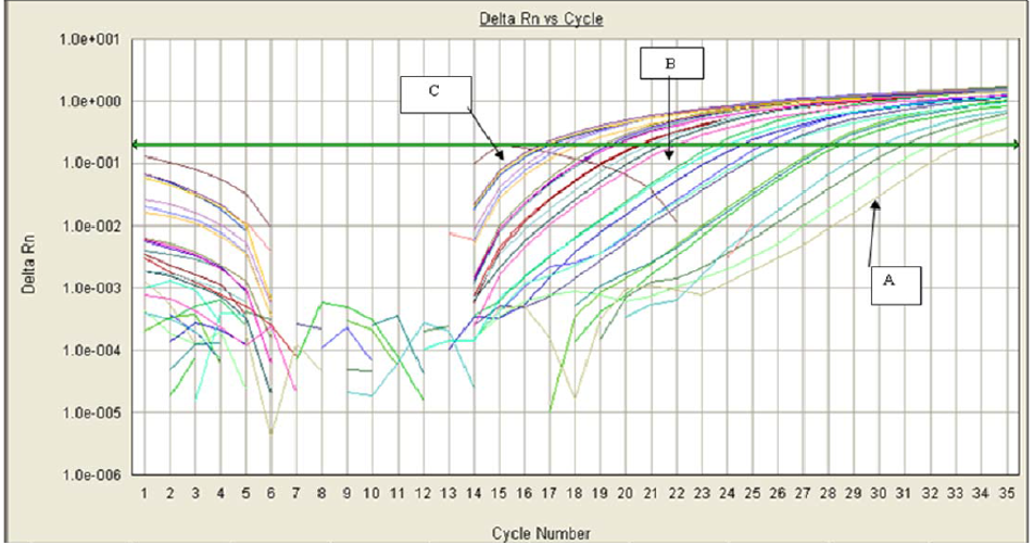 Solved 1. Based on the image: A. What conclusion can be | Chegg.com